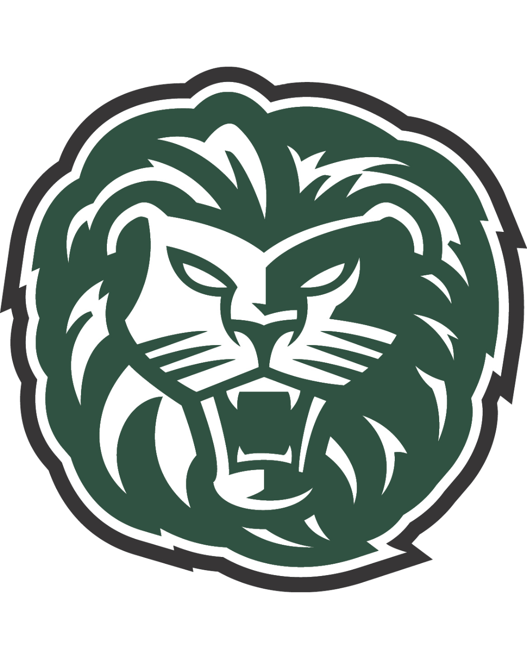 StatLink - Sports Analytics Solutions